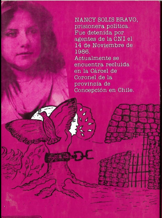 Nancy Solis Bravo Estrellando el muro – Museo de las Mujeres